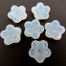 Moonflower (set of 6)